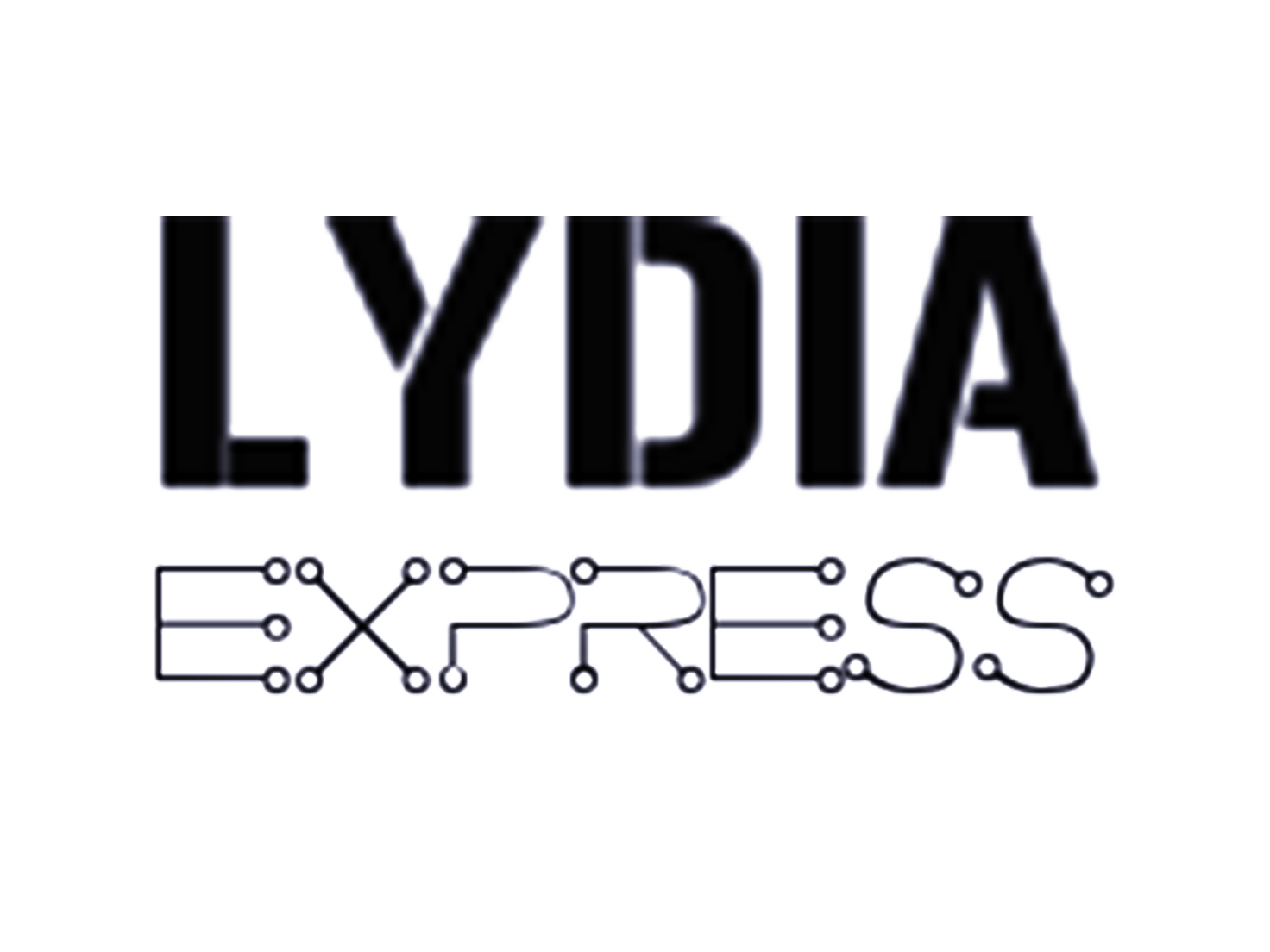 LYDIA EXPRESS LLC —— Deliver Freedom, Deliver Fast